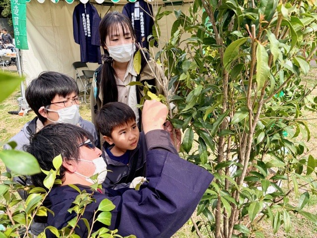 ねりまみどりフェスタ初開催 – 練馬環境造園協会